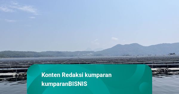 Melihat PLTS Terapung Cirata, Pembangkit Surya Terbesar di Asia Tenggara | kumparan.com